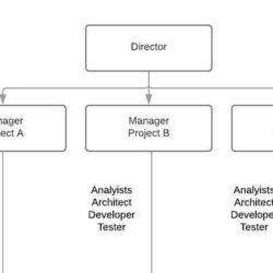Organizational Structure | Best Organizational Structure Examples